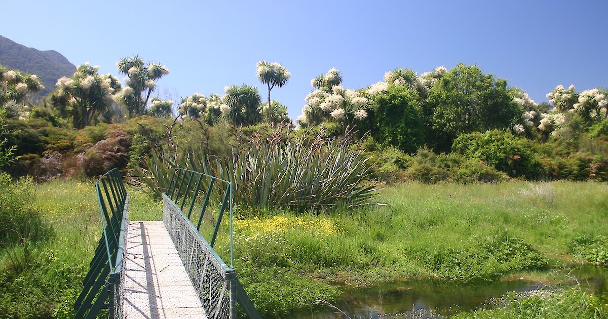 Rakatu Wetlands • Waiau Trust